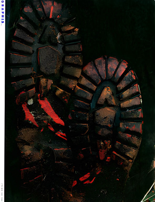 Issue 270 - Digital Version – Graphis