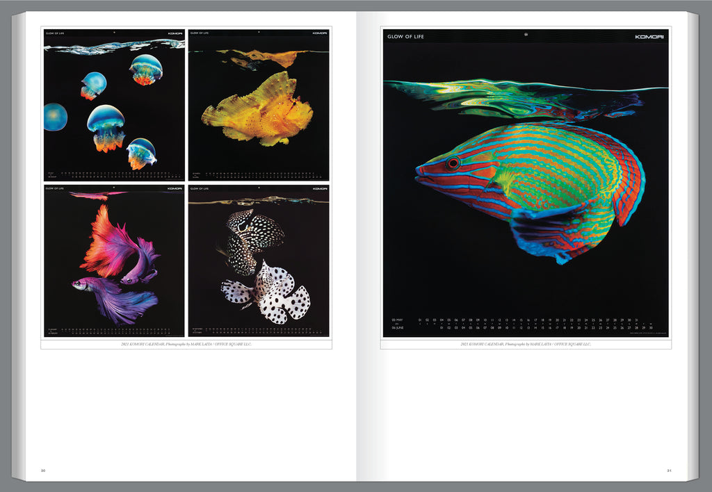 Graphis Journal Magazine 381