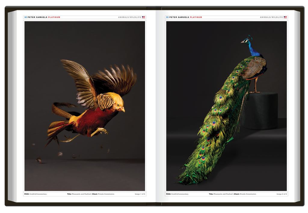 Graphis Photography 2024