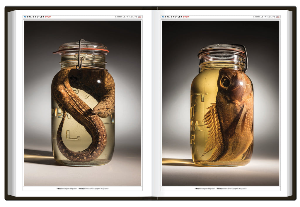 Graphis Photography 2020